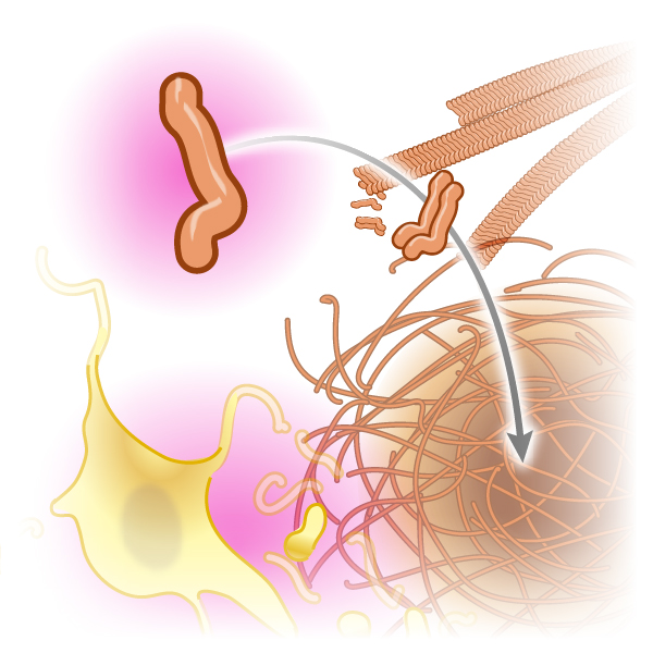NEJM Illustrated Glossary