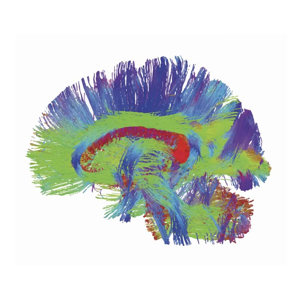 NEJM Illustrated Glossary
