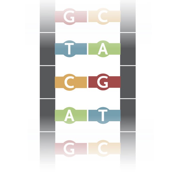 NEJM Illustrated Glossary