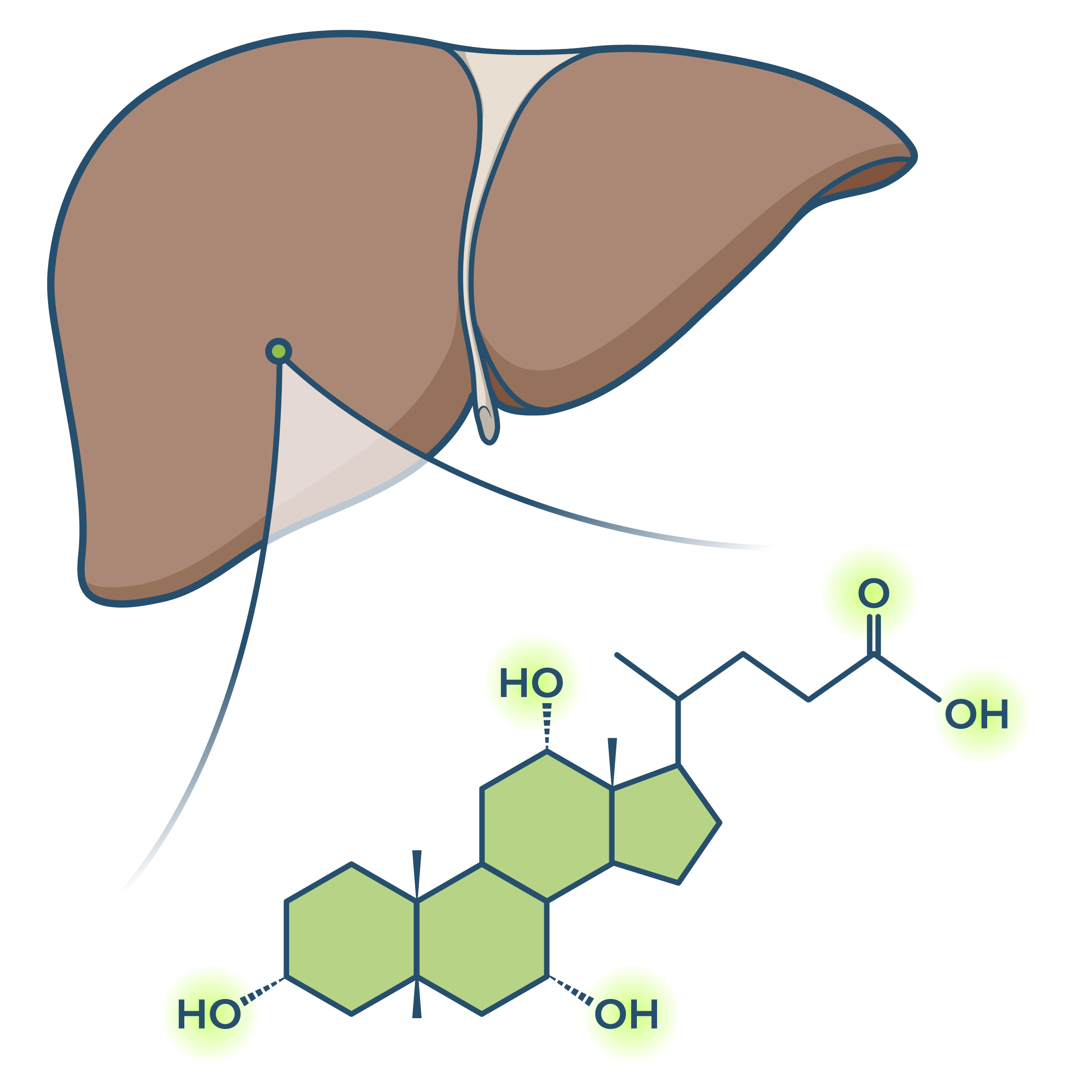 NEJM Illustrated Glossary