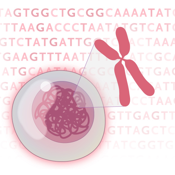 NEJM Illustrated Glossary