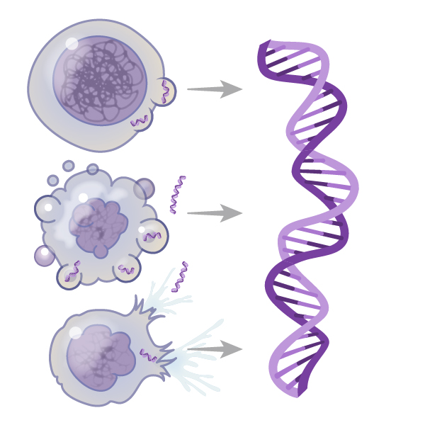 NEJM Illustrated Glossary