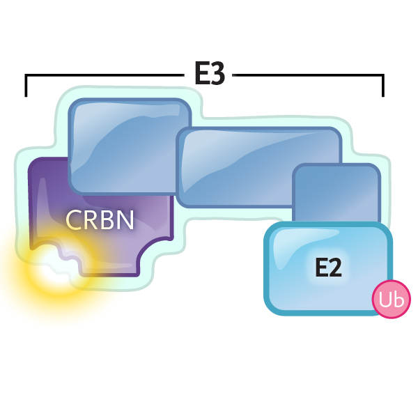 NEJM Illustrated Glossary