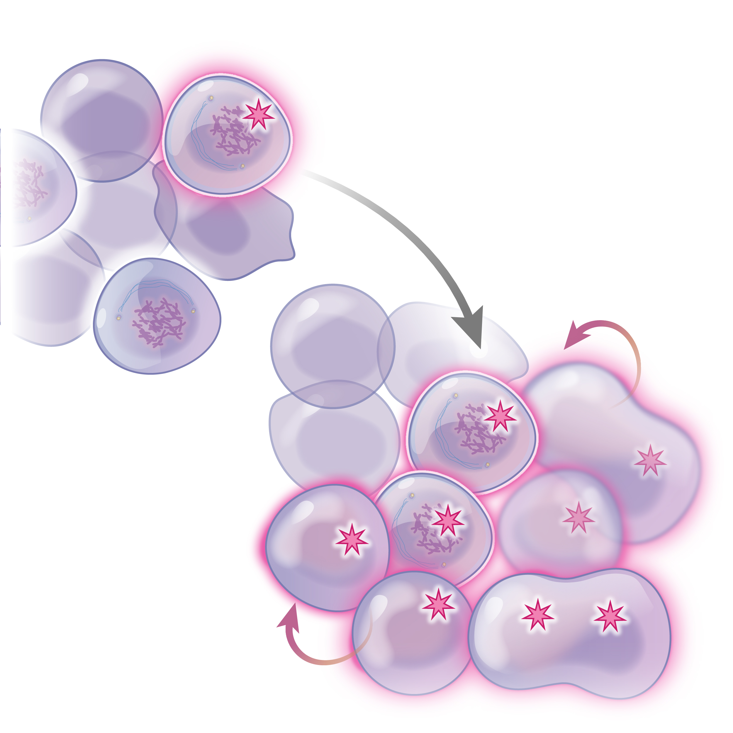 NEJM Illustrated Glossary