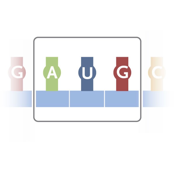 NEJM Illustrated Glossary