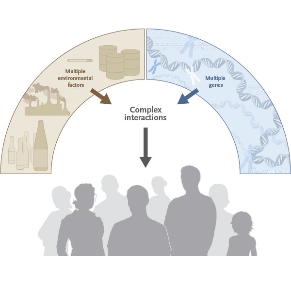 NEJM Illustrated Glossary