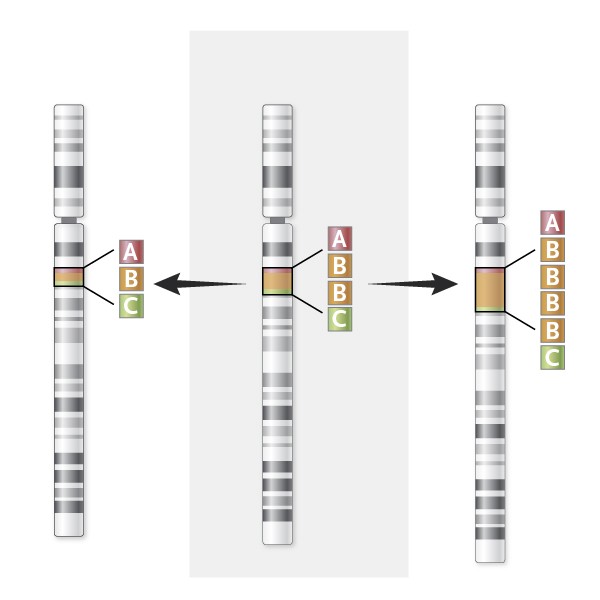 NEJM Illustrated Glossary