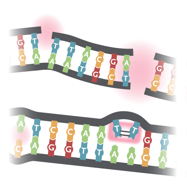 NEJM Illustrated Glossary