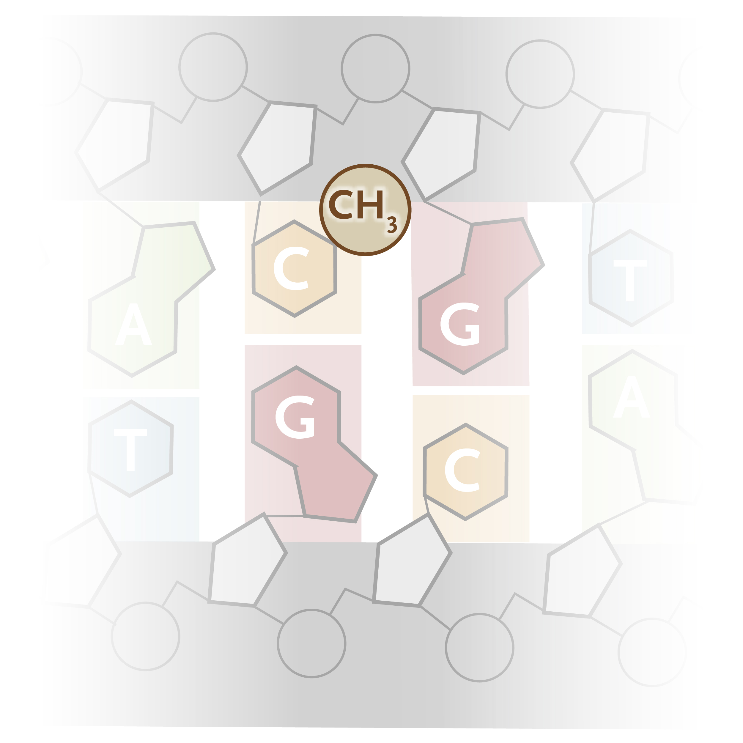 NEJM Illustrated Glossary