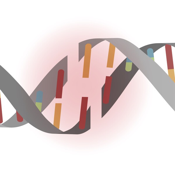 NEJM Illustrated Glossary
