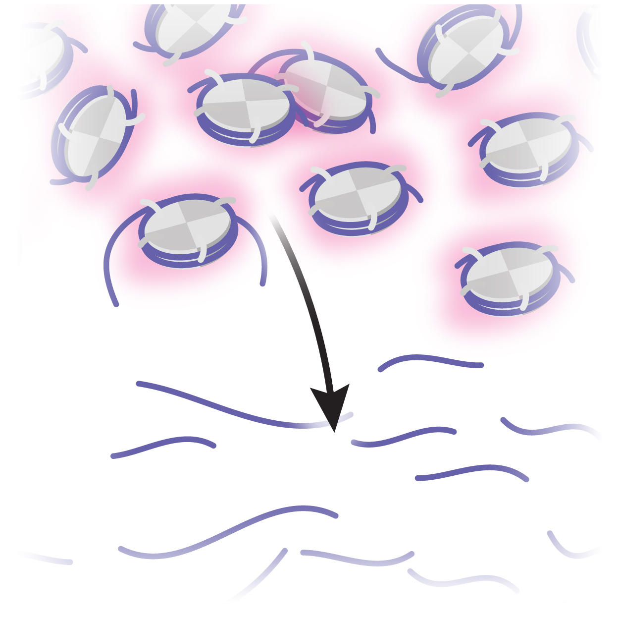 Nejm Illustrated Glossary