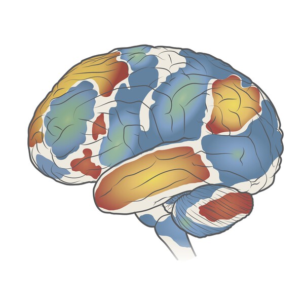 NEJM Illustrated Glossary