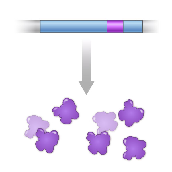 NEJM Illustrated Glossary