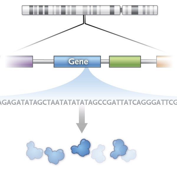 NEJM Illustrated Glossary
