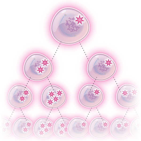 NEJM Illustrated Glossary