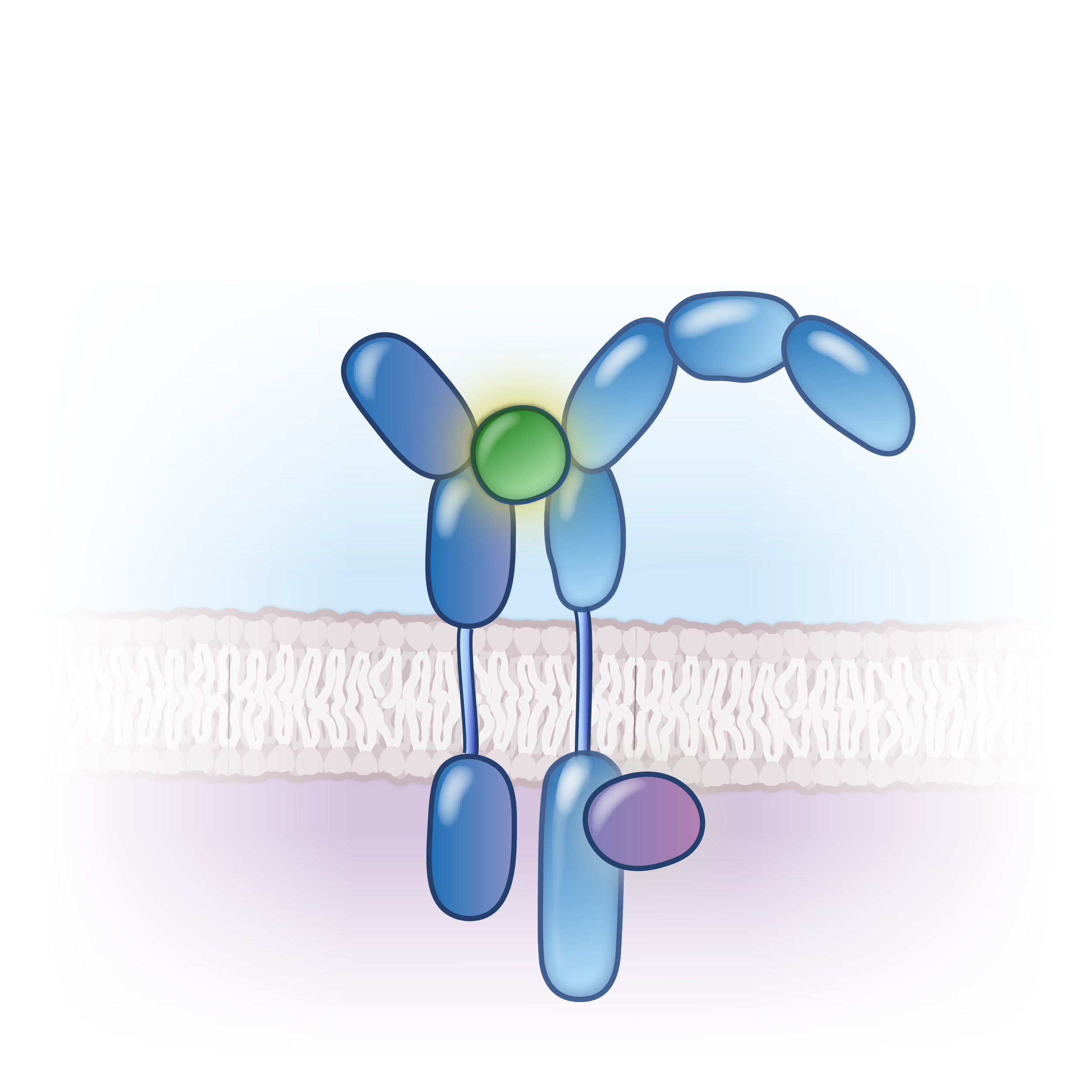 NEJM Illustrated Glossary