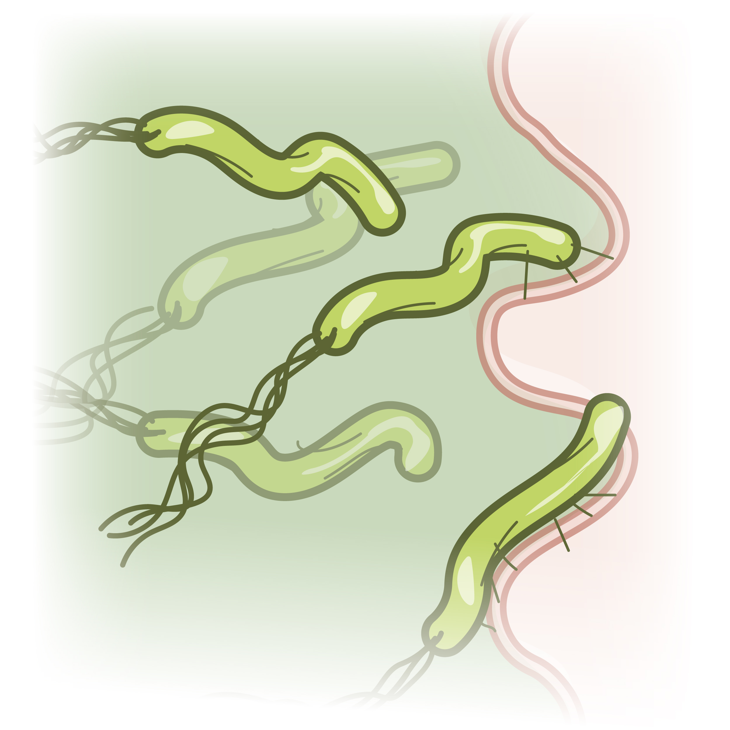 NEJM Illustrated Glossary