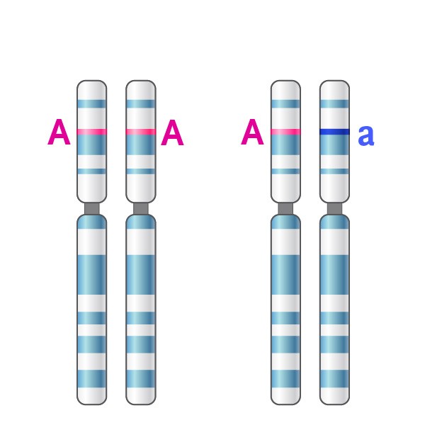 NEJM Illustrated Glossary