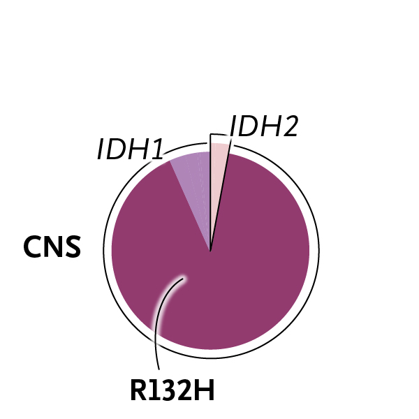 NEJM Illustrated Glossary
