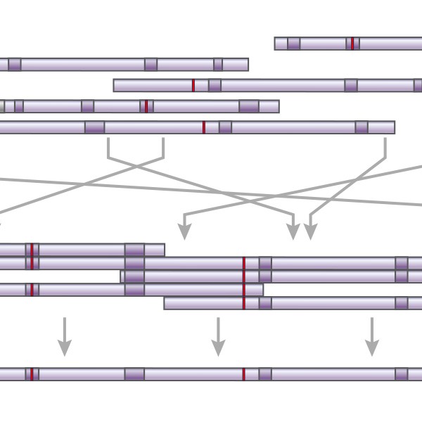 NEJM Illustrated Glossary