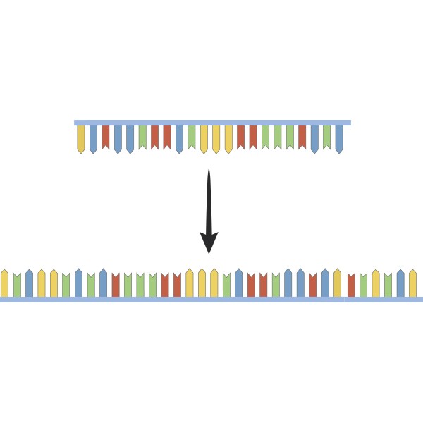 NEJM Illustrated Glossary