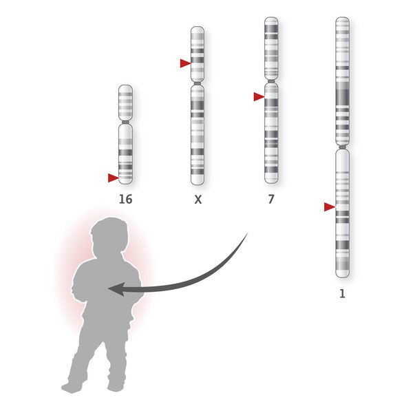 NEJM Illustrated Glossary