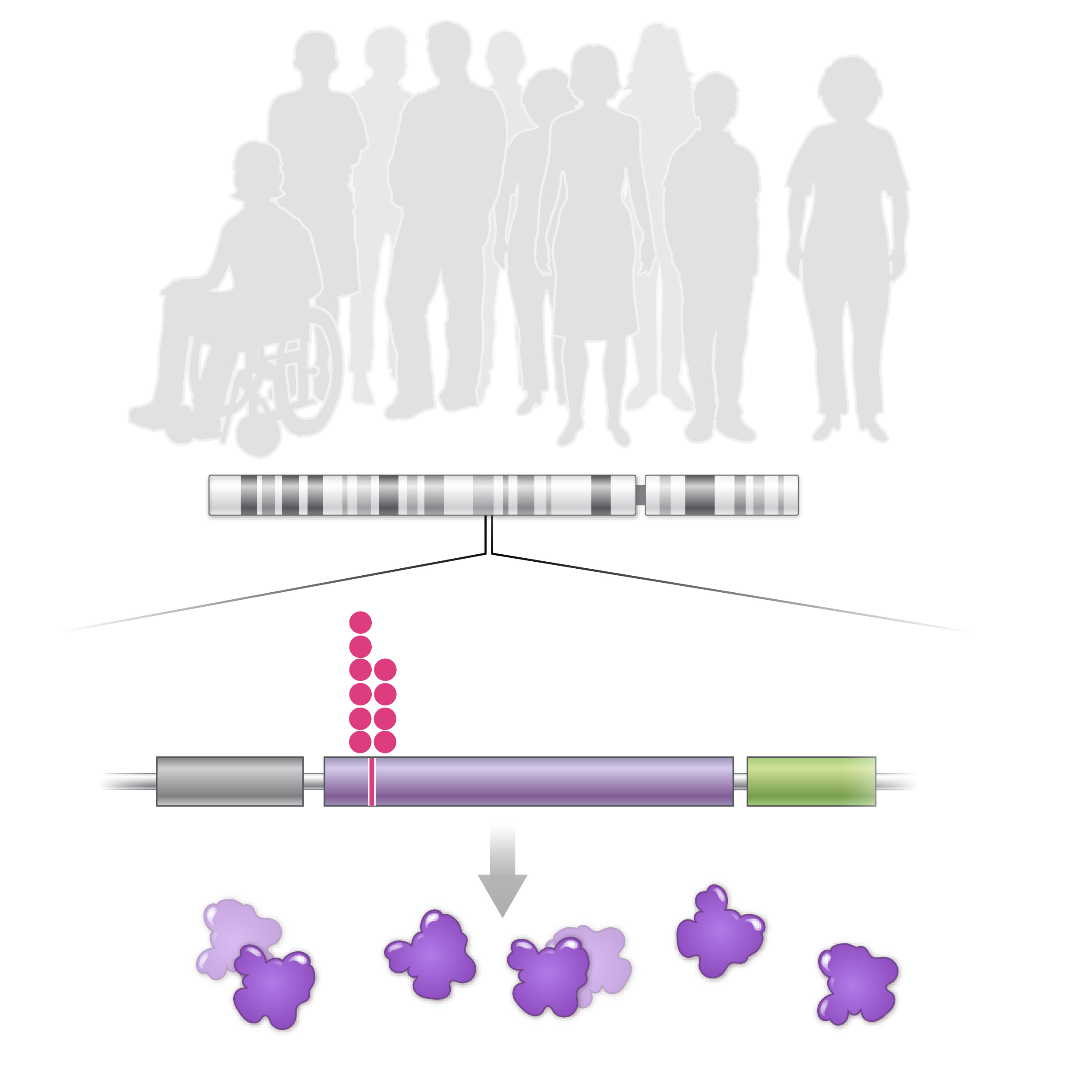 NEJM Illustrated Glossary
