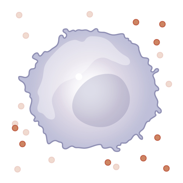 NEJM Illustrated Glossary